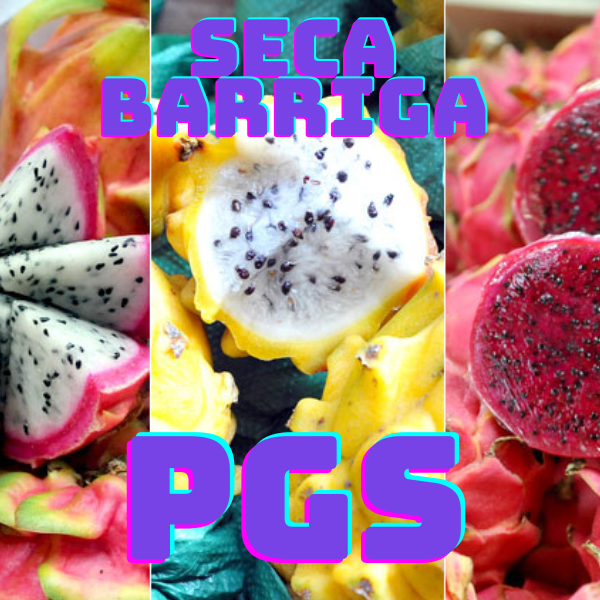 programa seca barriga - 4KINFOPRODUTOS | Hotmart