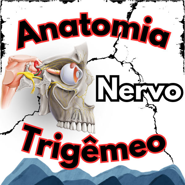 PDF - Anatomia no nervo trigêmeo e os 12 pares de nervos cranianos ...