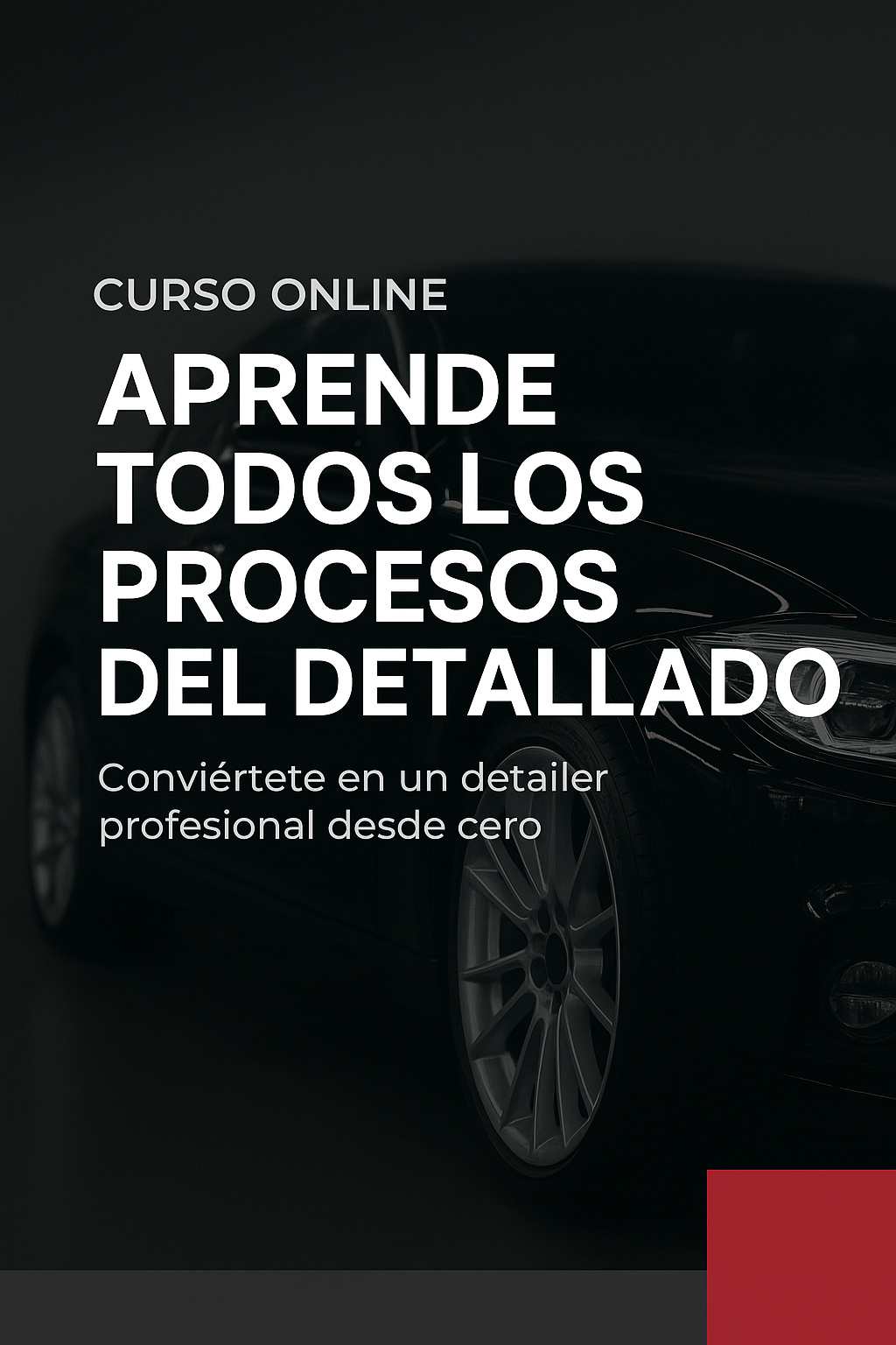 Curso Online: Aprende Todos los Procesos del Detallado - Sebastian ...
