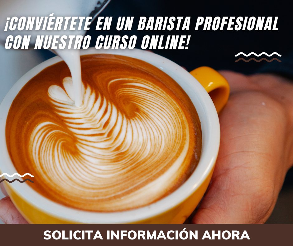Curso de barista desde cero - Daniel Roberto Guanca | Hotmart