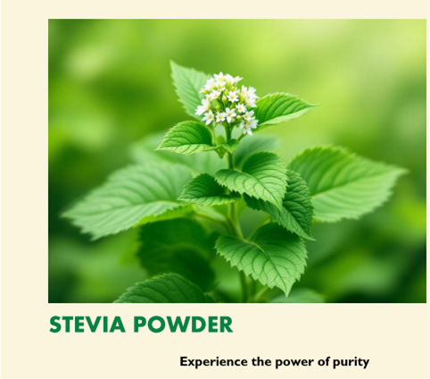 Unlocking the Delights and Health Benefits of Stevia Powder | Hotmart