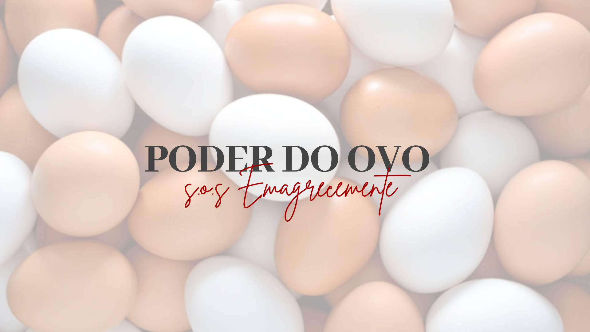 O PODER DO OVO