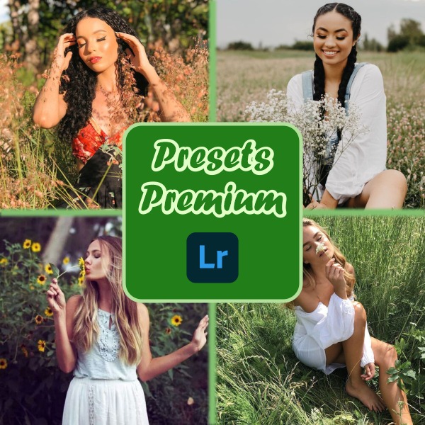 PACK PRESETS PREMIUM