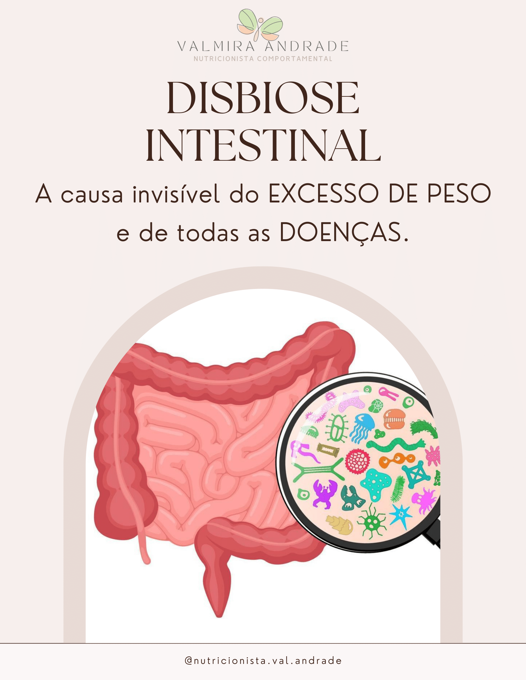 E-book Disbiose Intestinal