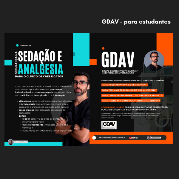 SSA + GDAV (estudante)