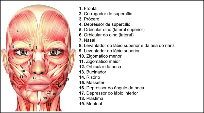 Aprenda Botox Global Face TODA e Pescoço. COM BONUS DE PREENCHIMENT...
