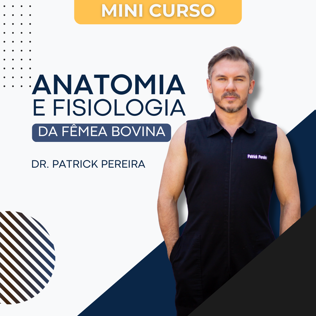 Mini Curso: Anatomia e Fisiologia da Fêmea Bovina - NOVA VETERINARI...