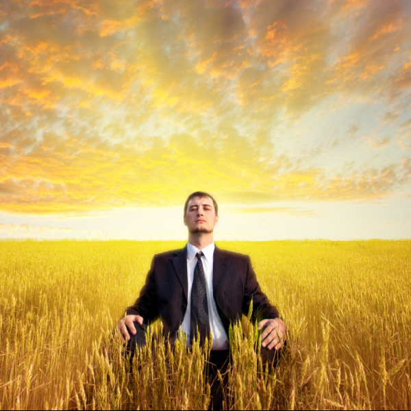 Aprenda a Ganhar Dinheiro e Tenha uma Vida Prospera