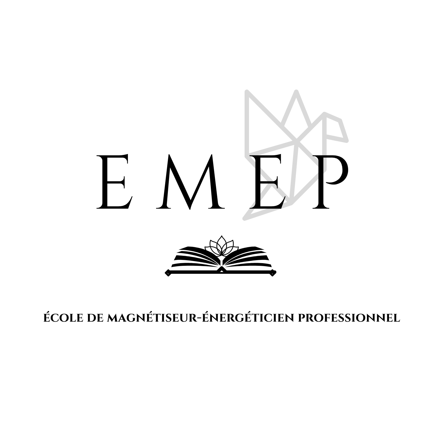 EMEP École de magnétiseur énergéticien professionnel SESSION DE SEP...