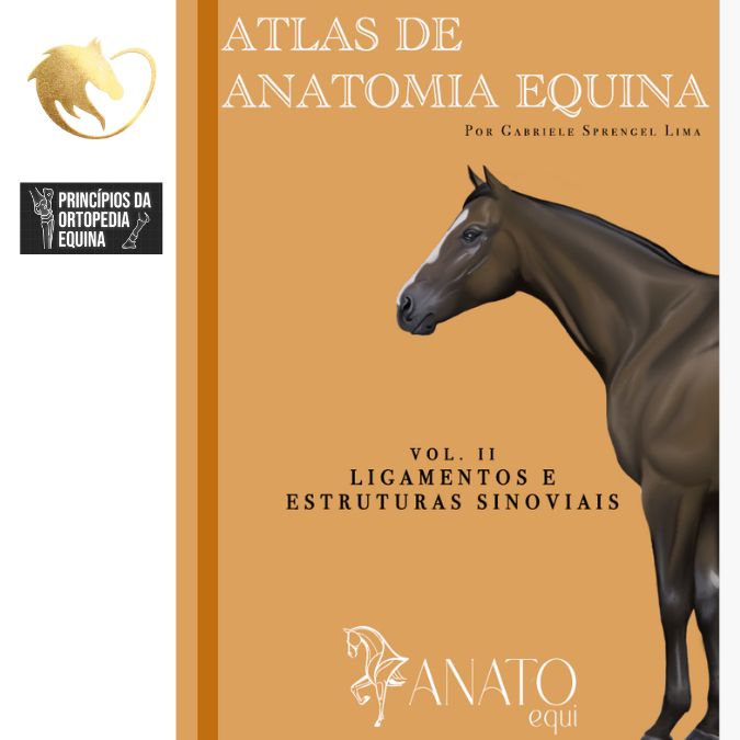 Atlas de Anatomia Equina VolII - Ligamentos e Estruturas Sinoviais ...