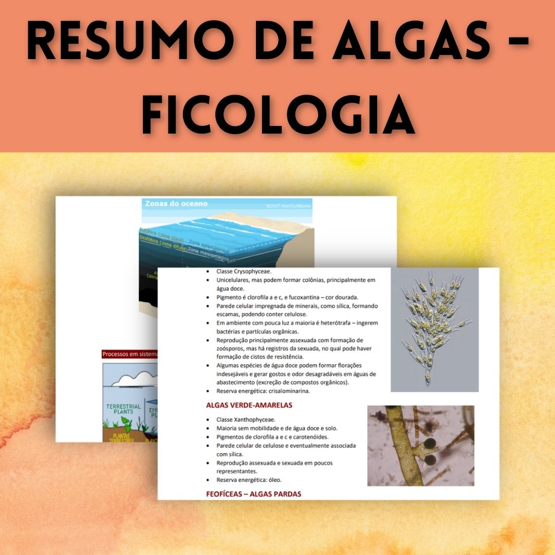 Resumo de Algas - Ficologia - LARISSA BORGES SILVEIRA COELHO | Hotmart