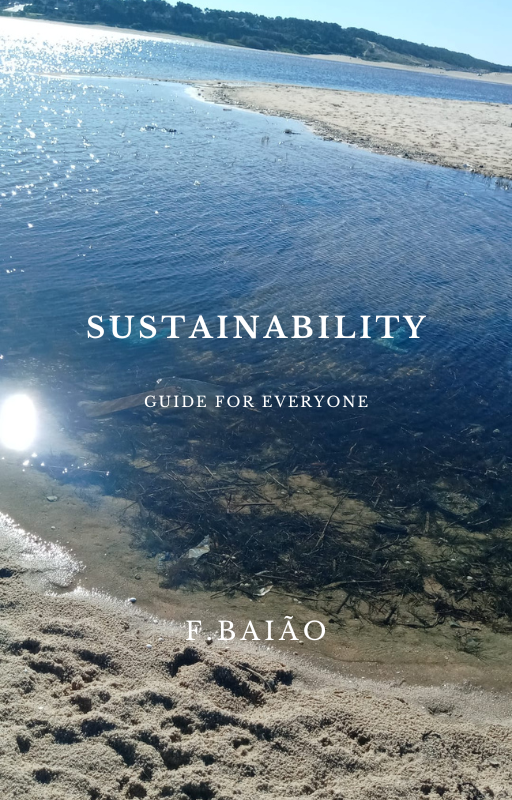 Sustainability - Guide for everyone Ebook