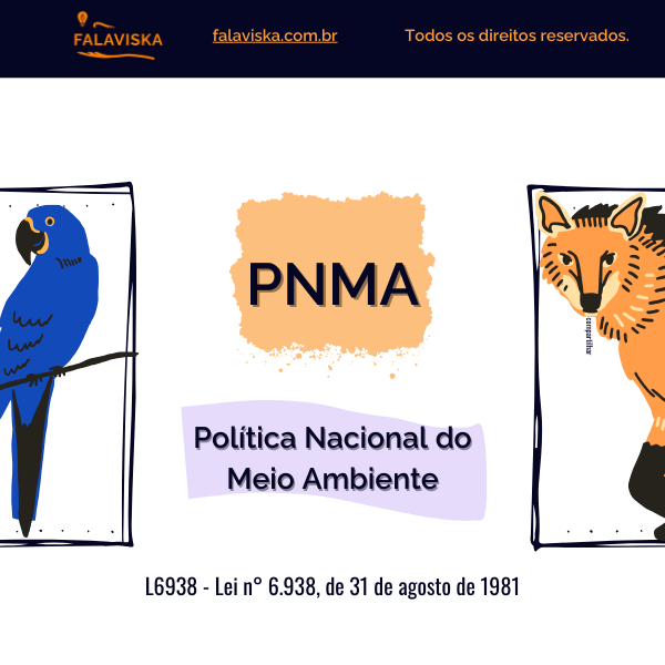 Resumo Visual da PNMA (Política Nacional do Meio Ambiente) + Bônus:...