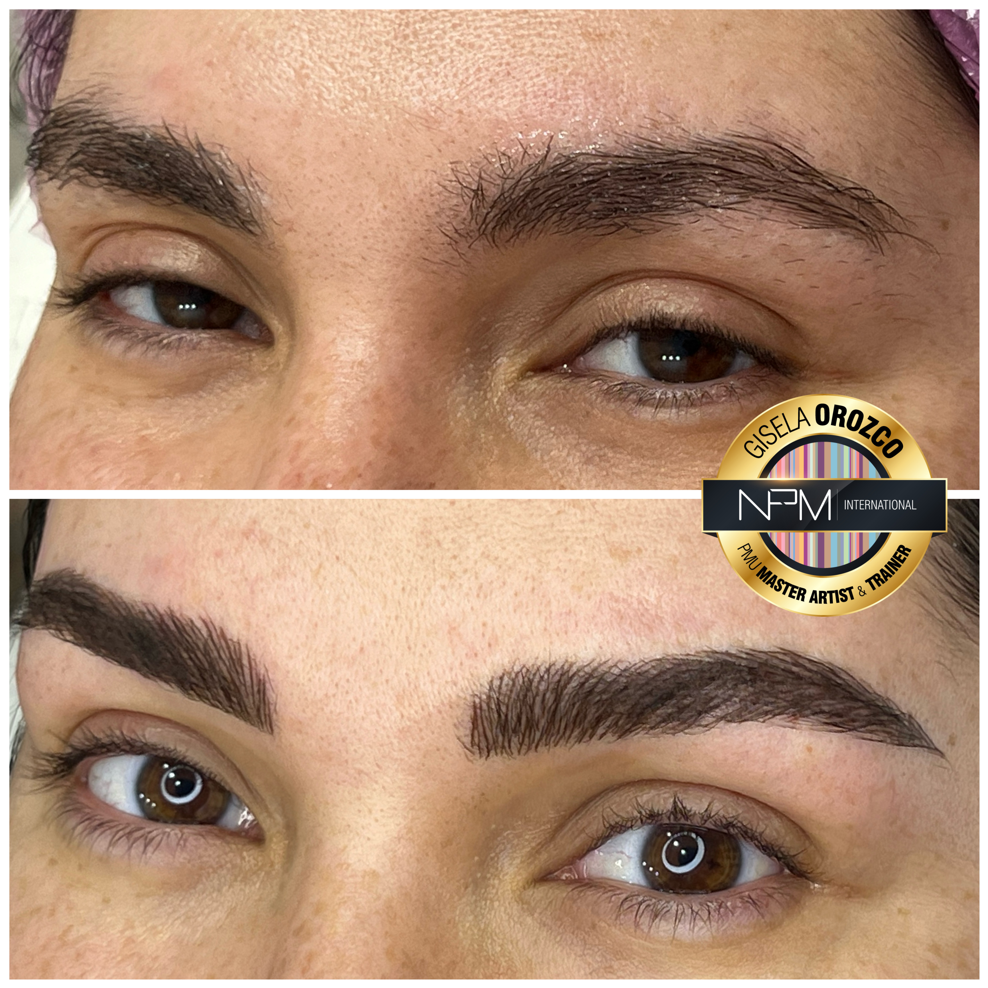 Magic Cover up Brows - Gisela Orozco | Hotmart