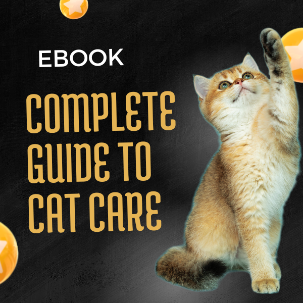Complete Guide to Cat Care