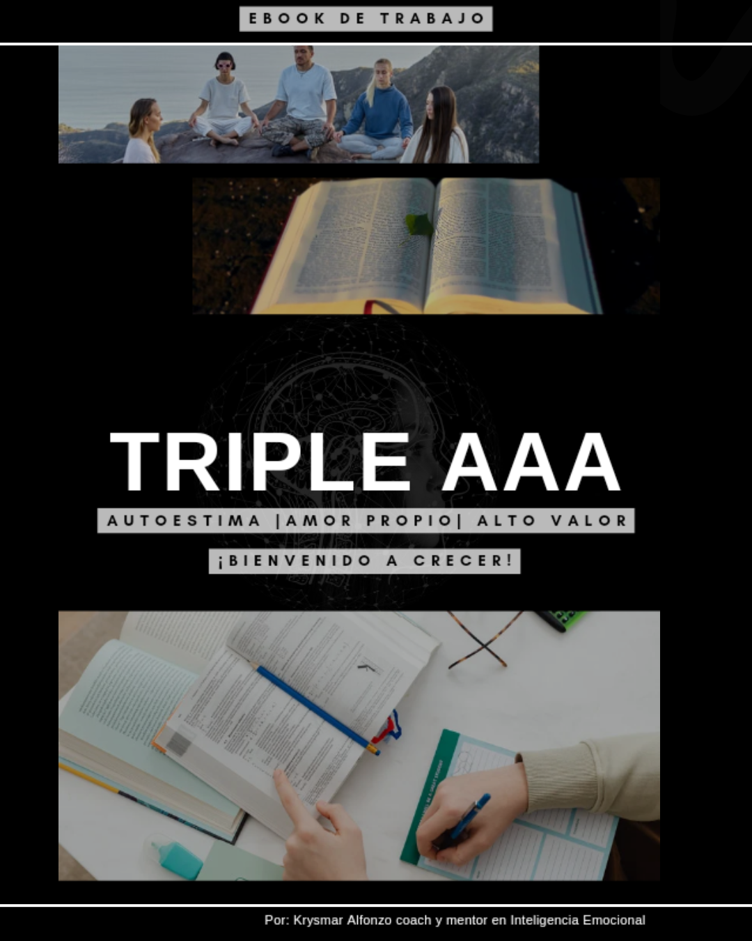 LIBRO DE TRABAJO TRIPLE AAA
