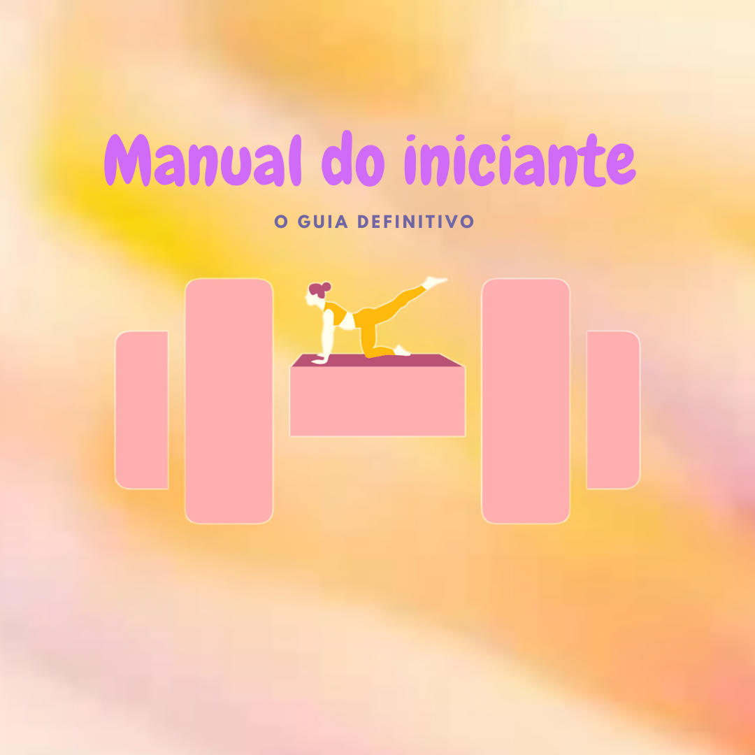 Manual do iniciante: O guia definitivo - Maria da Conceição dos Sa...