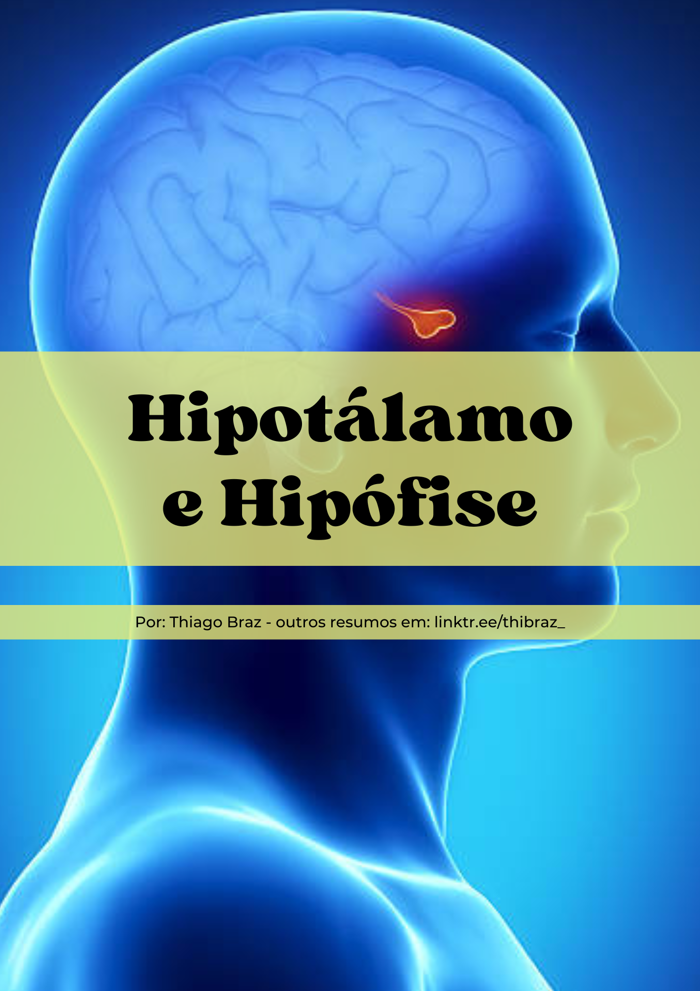 [Resumo] Hipotálamo e Hipófise