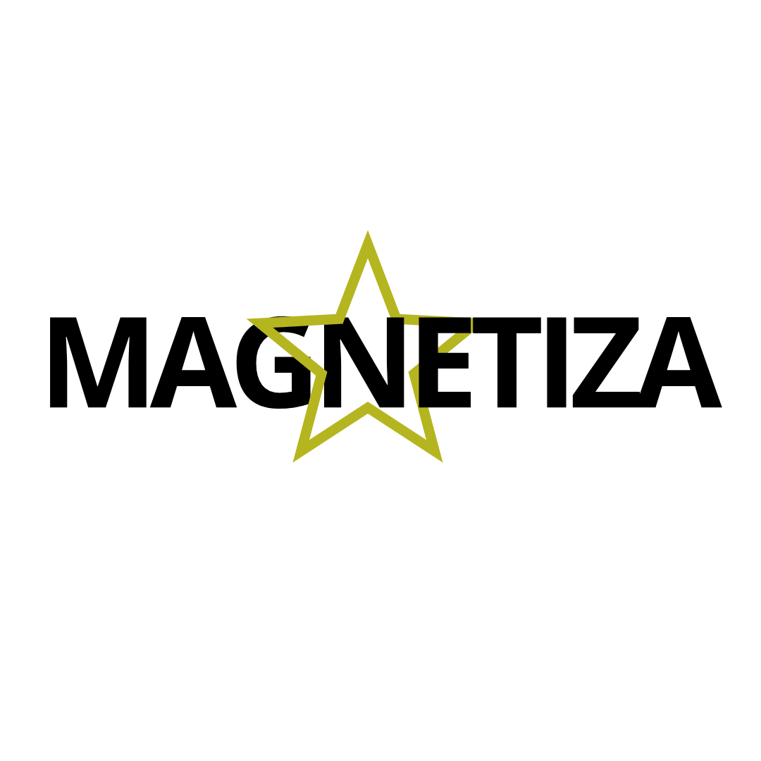 Magnetiza - Tinara Fava | Hotmart