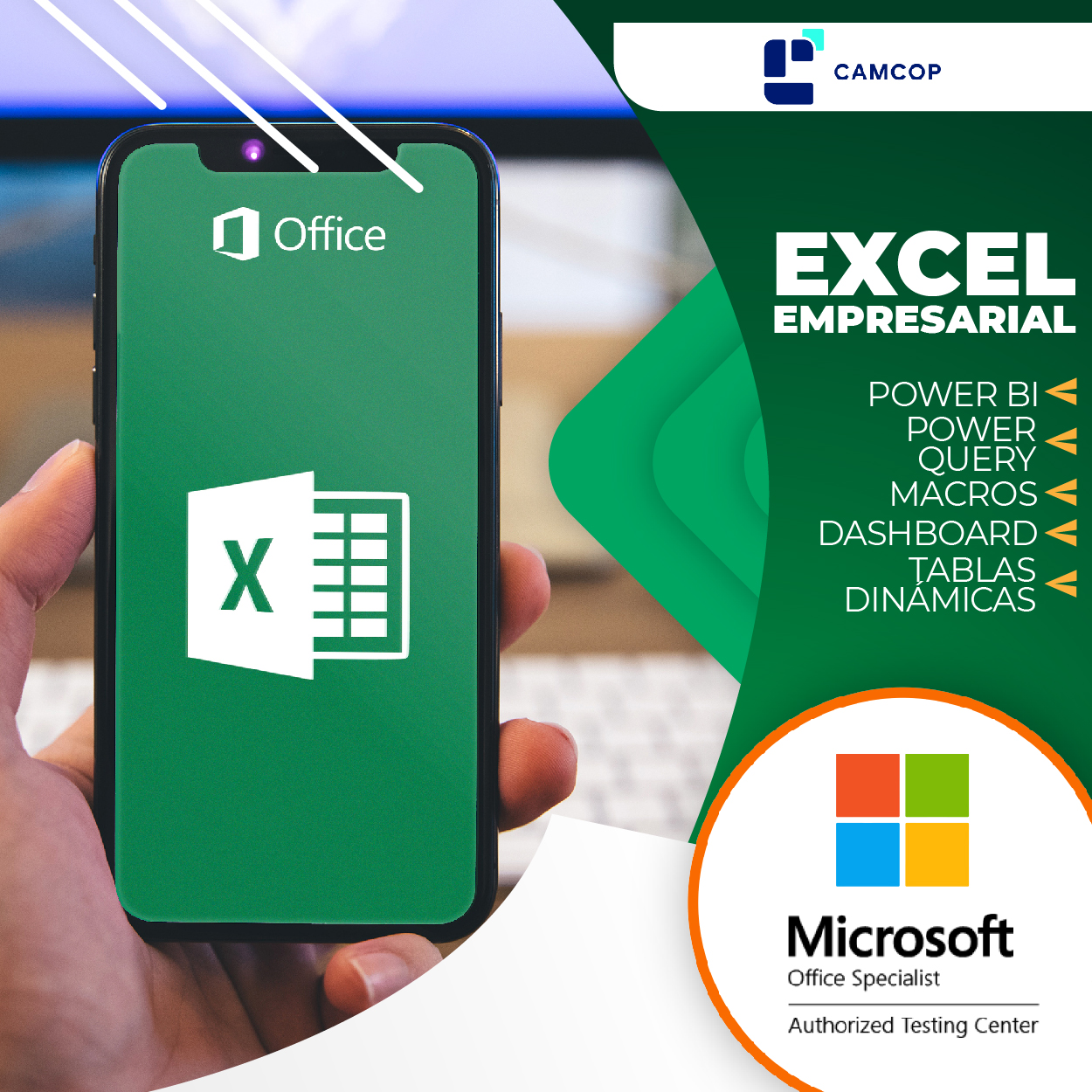 Microsoft Excel Profesional