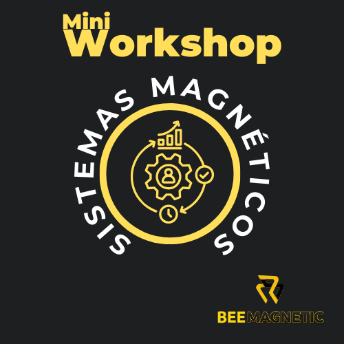 Mini Workshop Sistemas Magnéticos