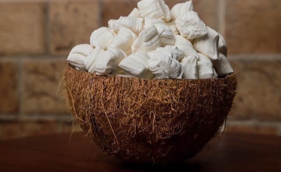 Curso técnico de bala de coco tradicional - Daniela Barros | Hotmart