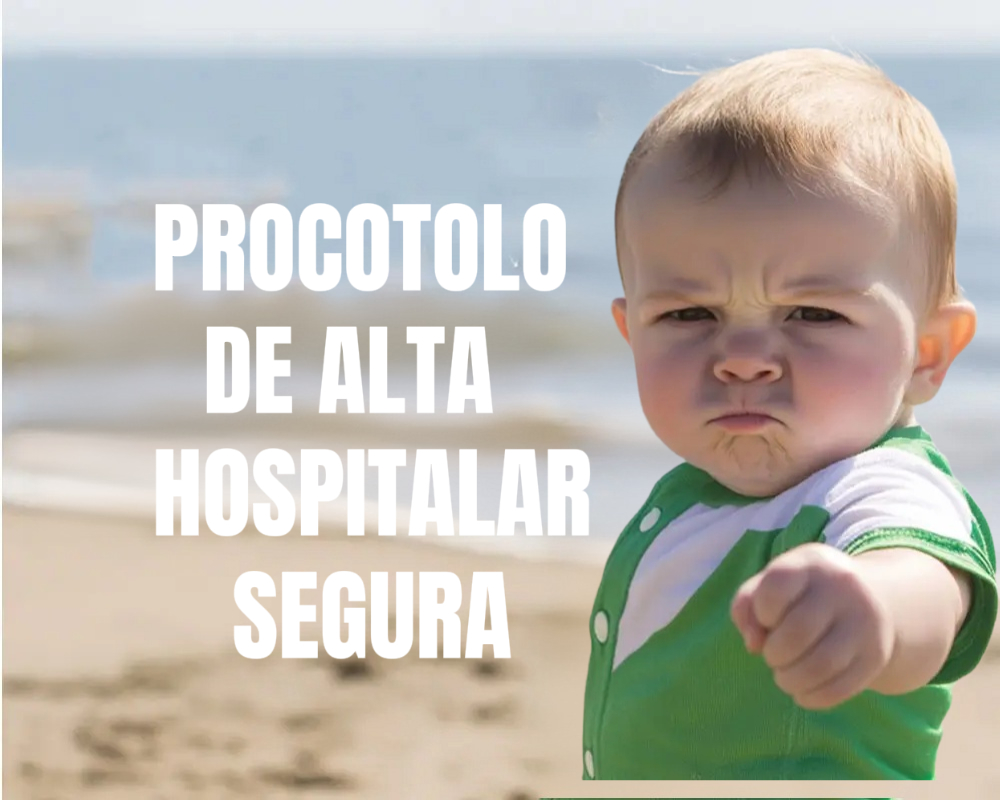 PROTOCOLO SOBRE ALTA HOSPITALAR SEGURA DO RECÉM-NASCIDO - Cintia Ma...