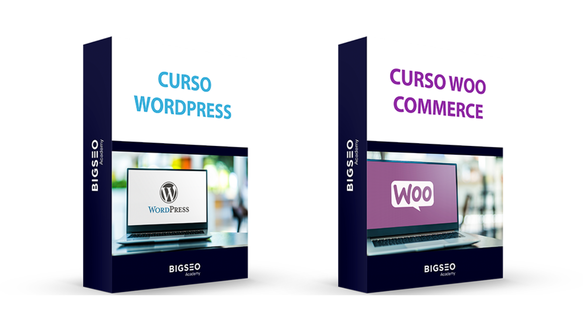 Curso de WooCommerce + Curso de WordPress