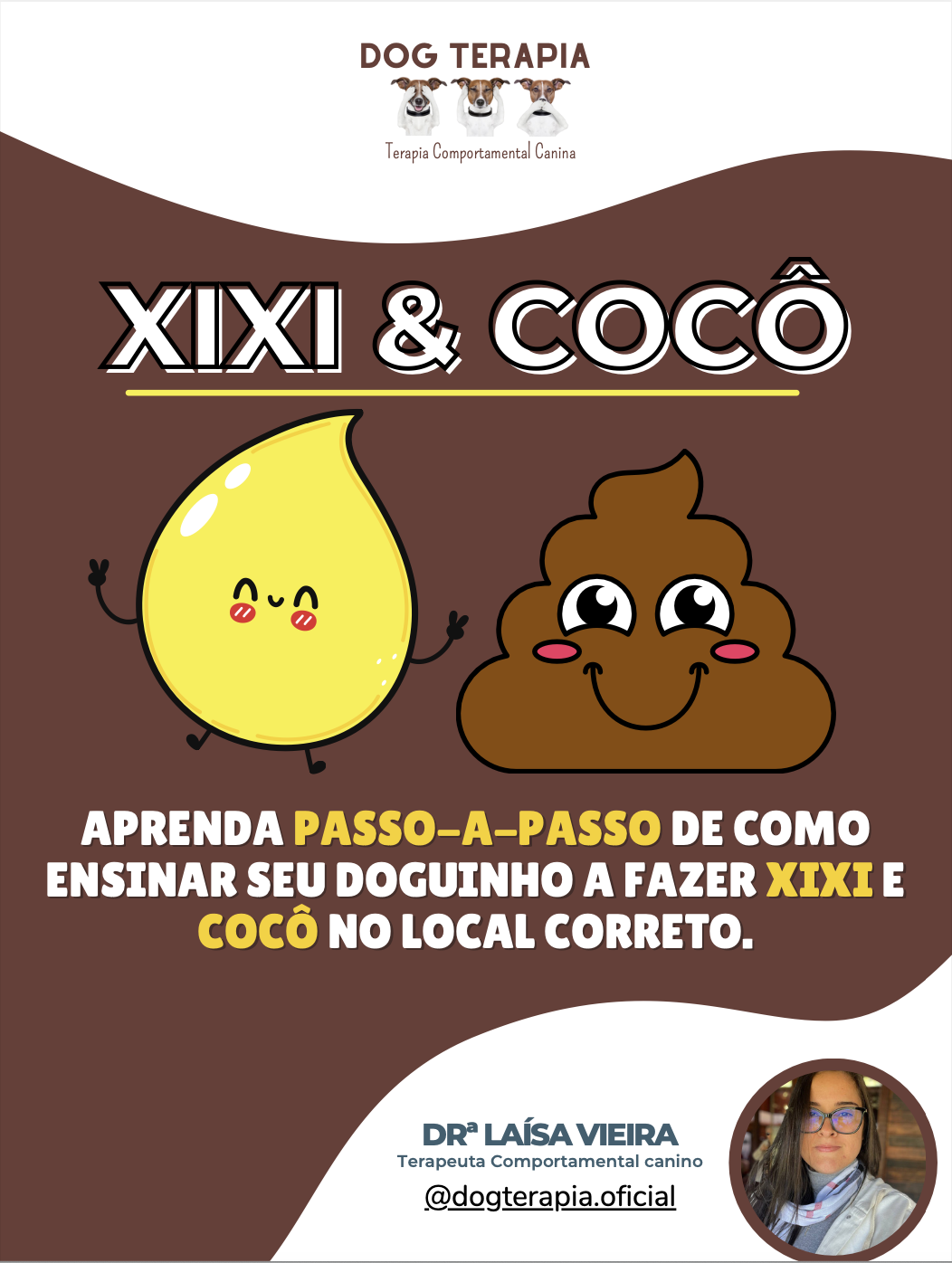 Passo-a-Passo para o seu Doguinho fazer xixi e cocô no local corret...