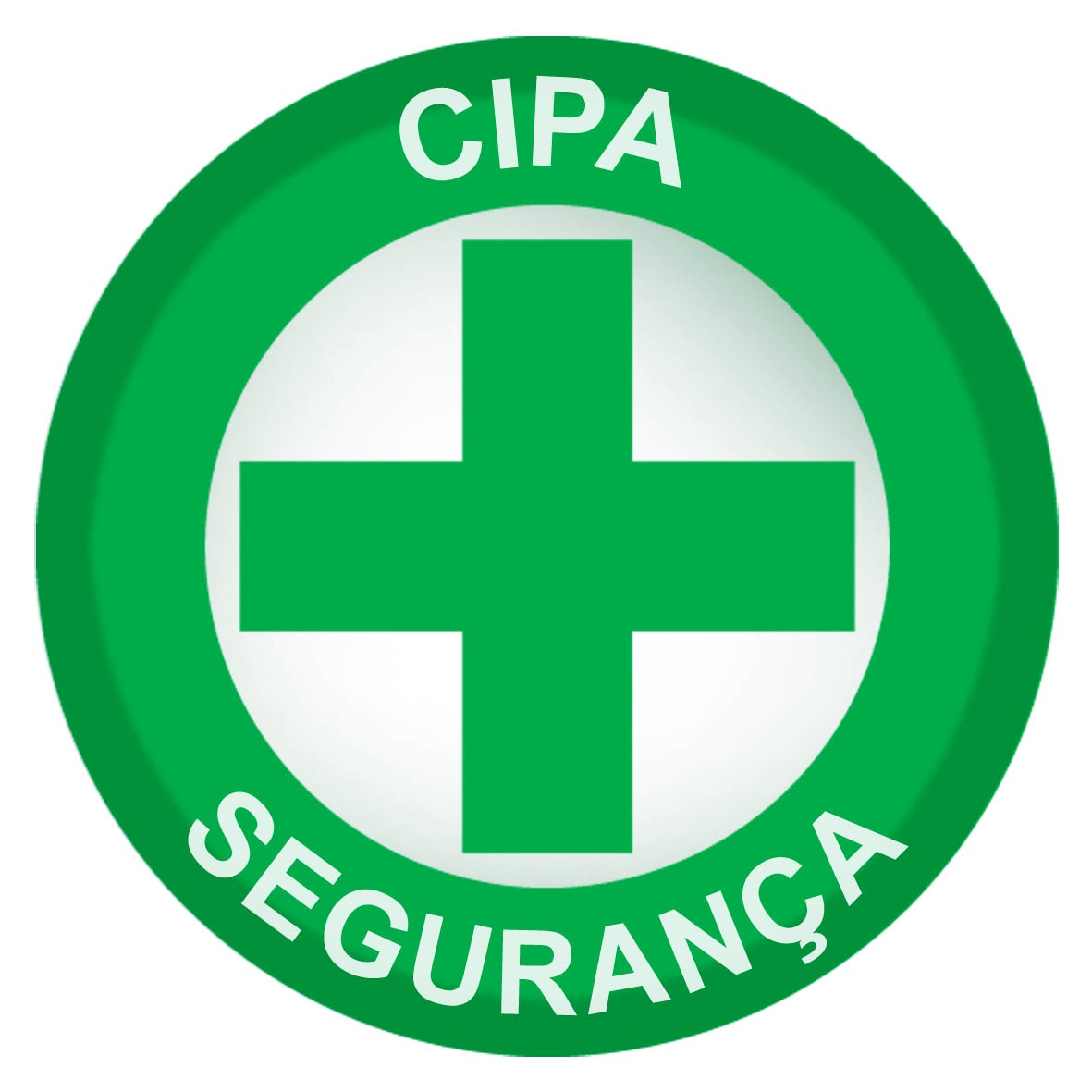 A gestão da nova CIPA - Formação de especialista e consultor - Seg...