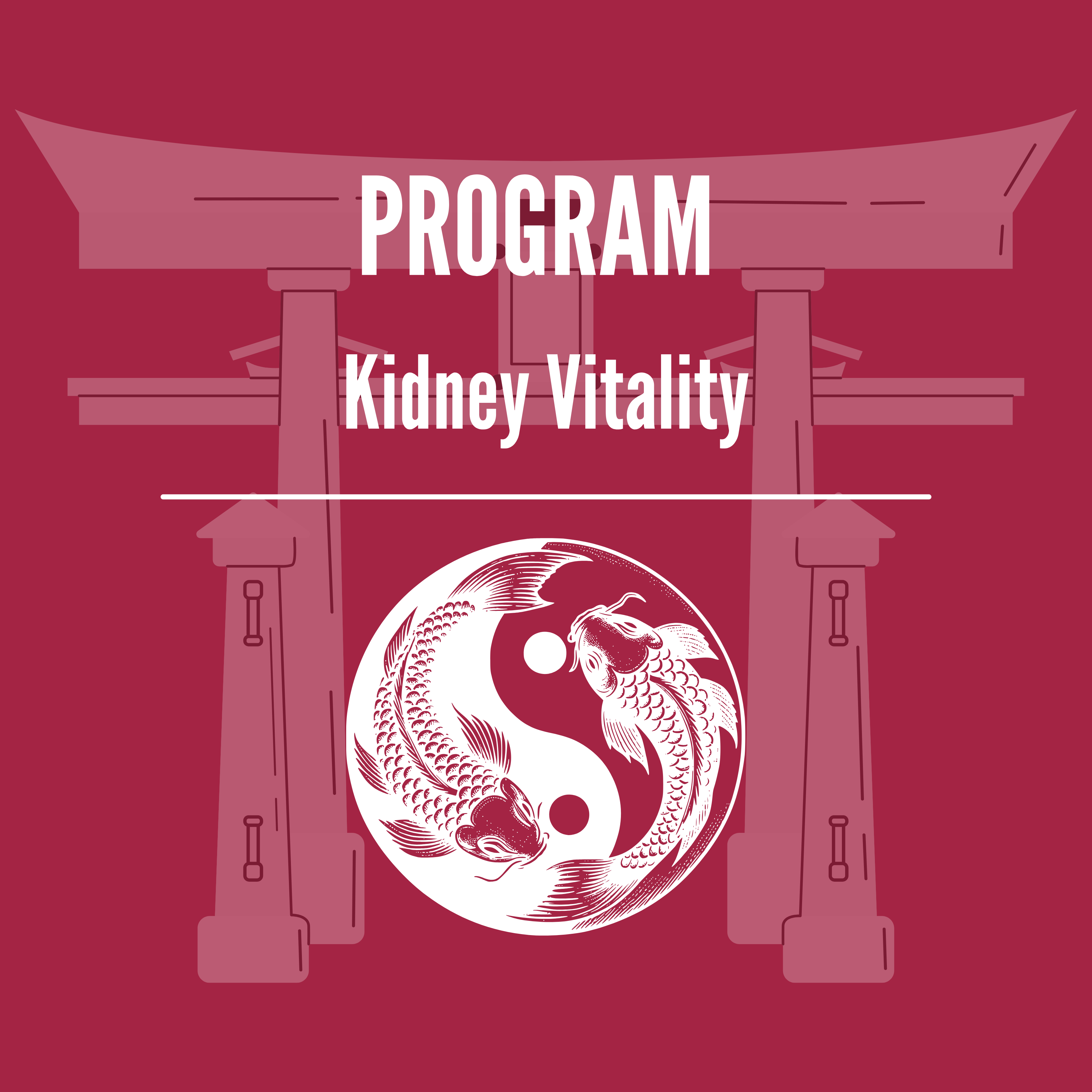 Program - Kidney Vitality