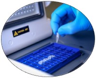 TEORÍA Y APLICACIONES PRÁCTICAS DE LA PCR: UN ENFOQUE CONCEPTUAL