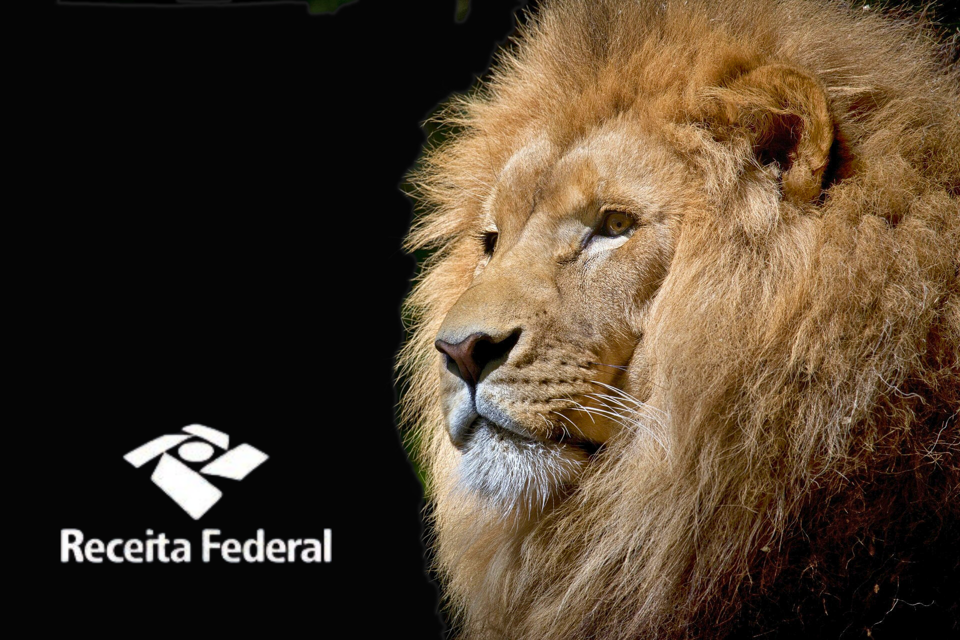 Intensivo de IRPF 2025 (Imposto de Renda de Pessoa Física) - Givani...