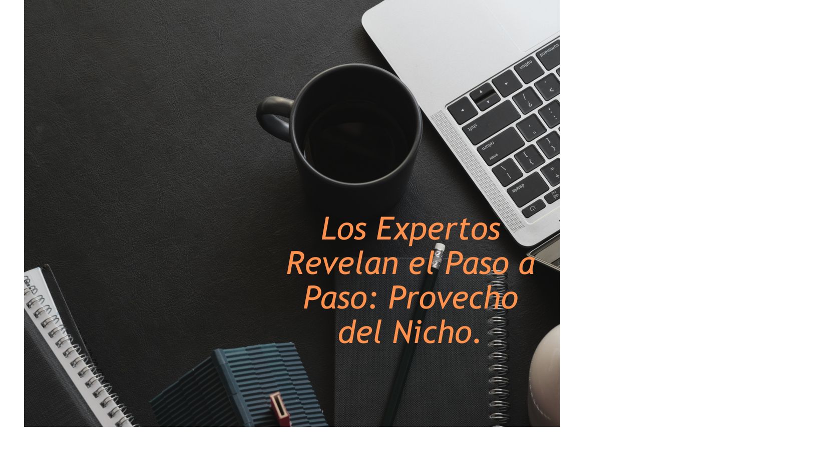 Los Expertos Revelan el Paso a Paso: Provecho del Nicho. - Eric Jos...