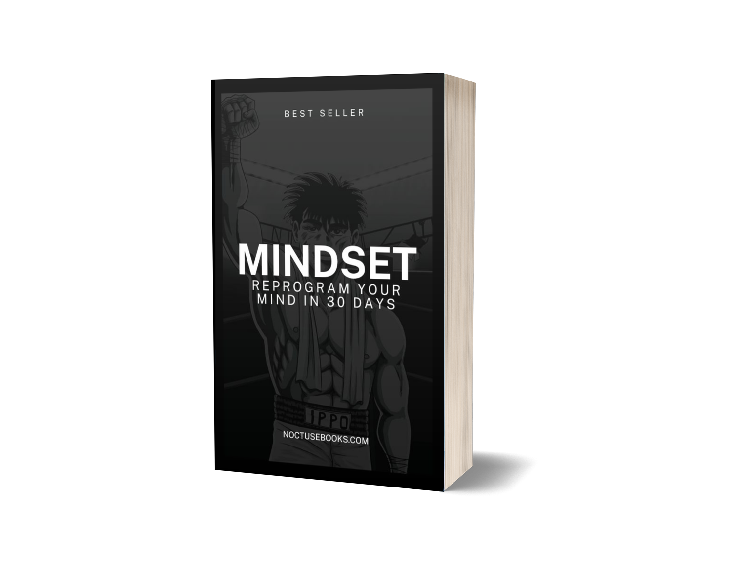 MINDSET - Reprogram yout mind in 30 days