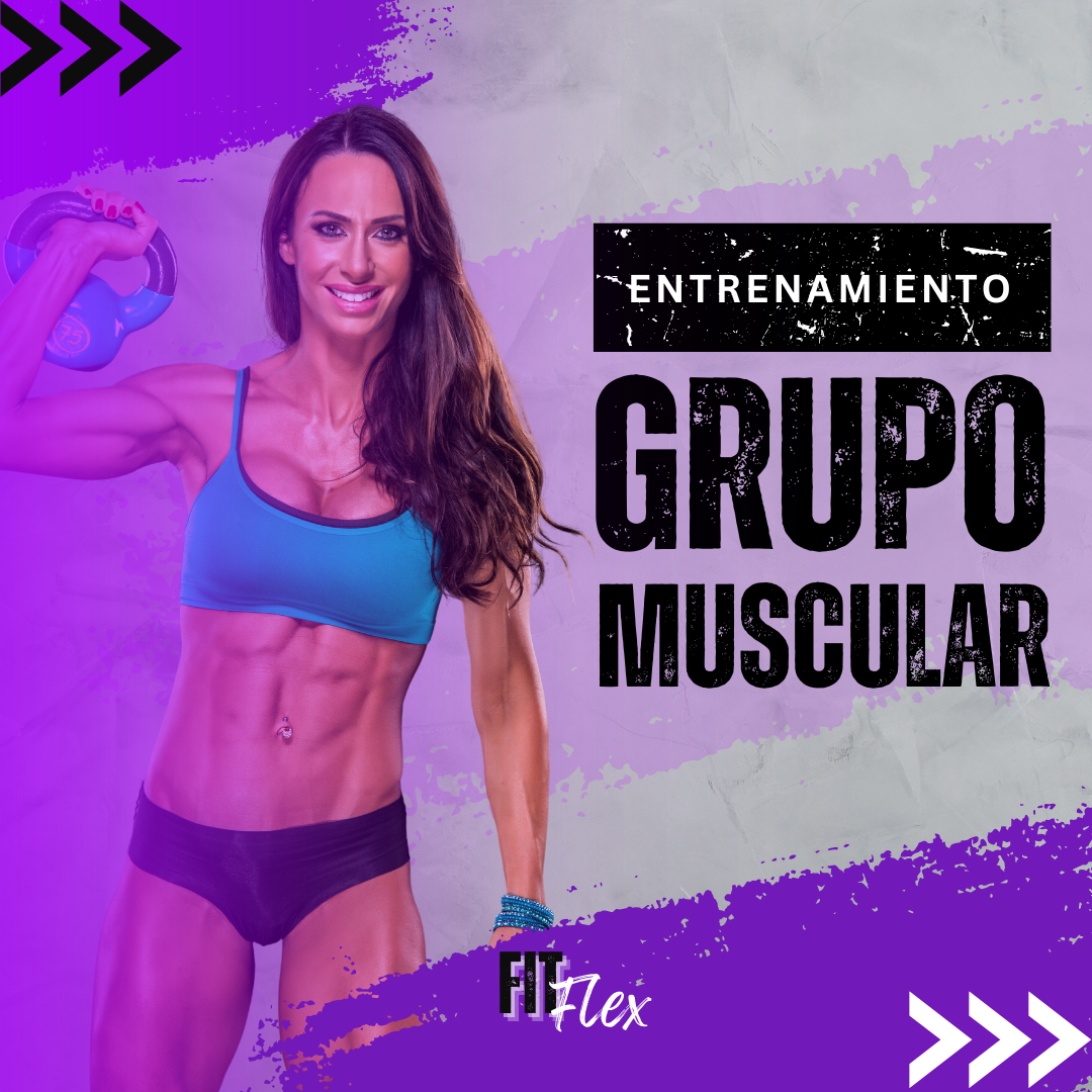 ENTRENAMIENTO GRUPO MUSCULAR - FITFLEX - Editora - Projetos Estraté...