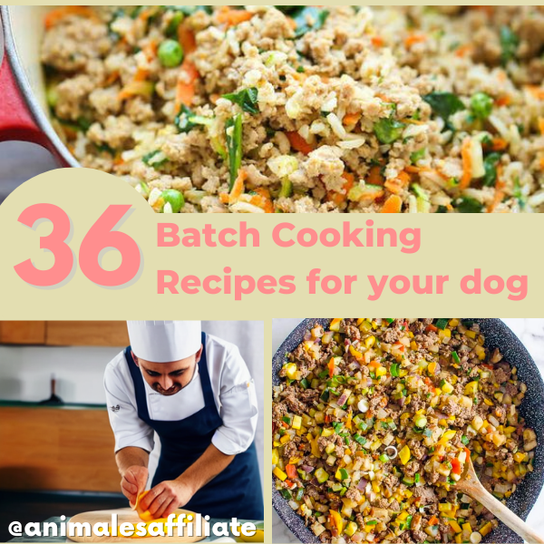 36 Batch Cooking Recipes for your Dog