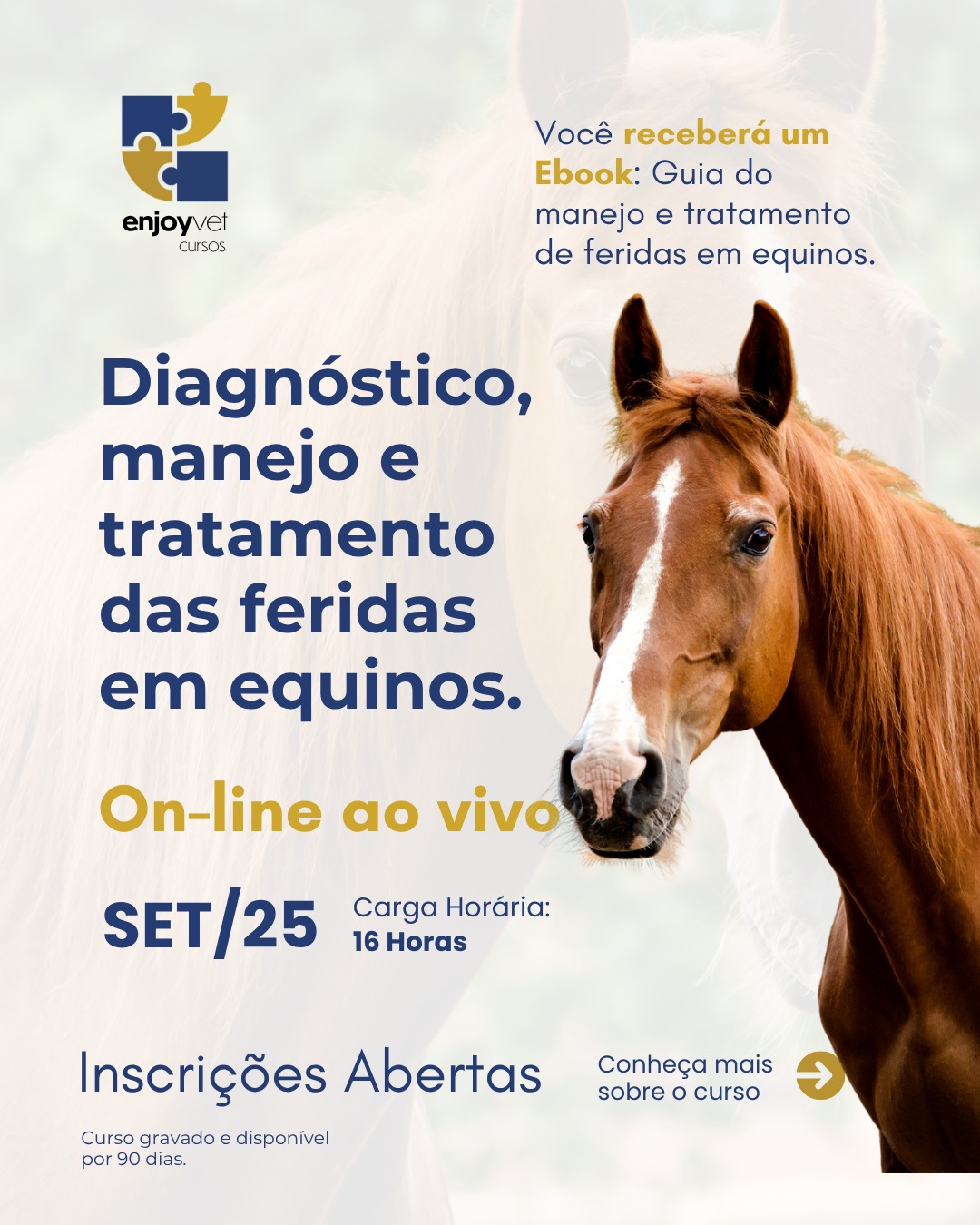 Diagnóstico, Manejo e Tratamento de Feridas em Equinos - Enjoy Vet ...