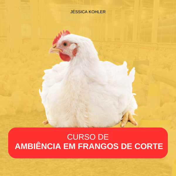 Ambiência em frangos de corte - Jessica Kohler Visentin Novakowiski...