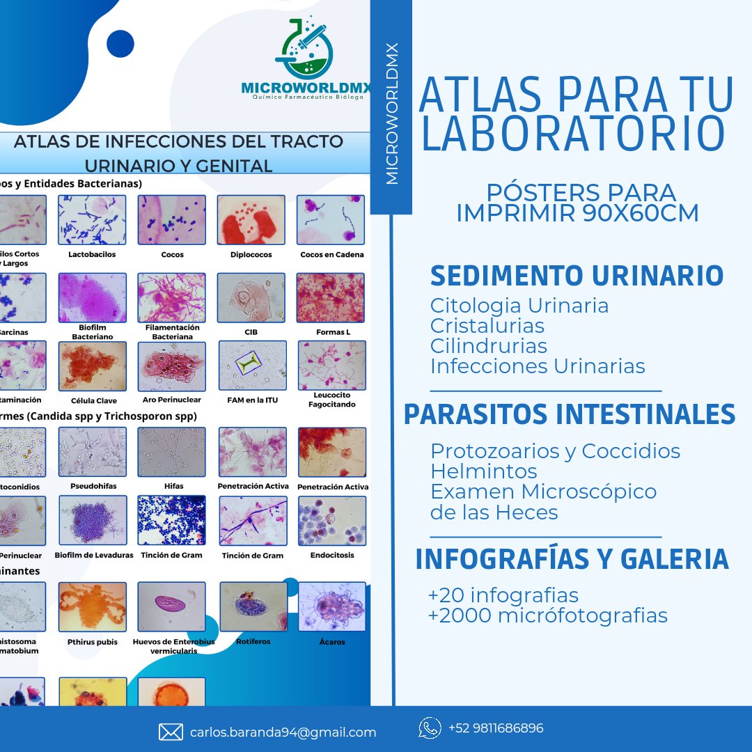 Atlas de Uroanálisis y Parasitología - Carlos Alberto Baranda Rodrí...