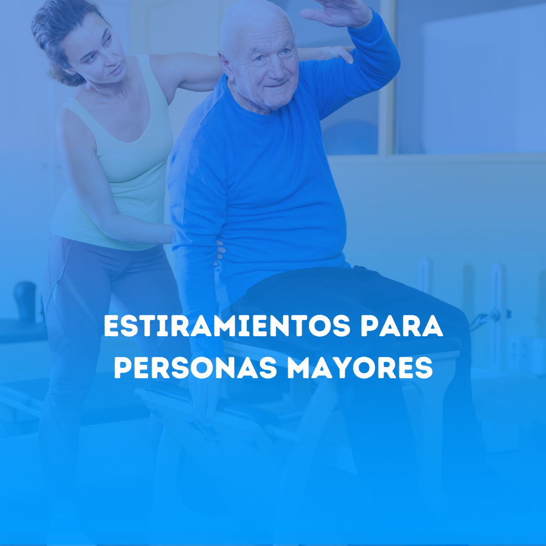 Estiramientos + Ejercicios Adaptados [PDF] - Leticia Gonçalves Muni...