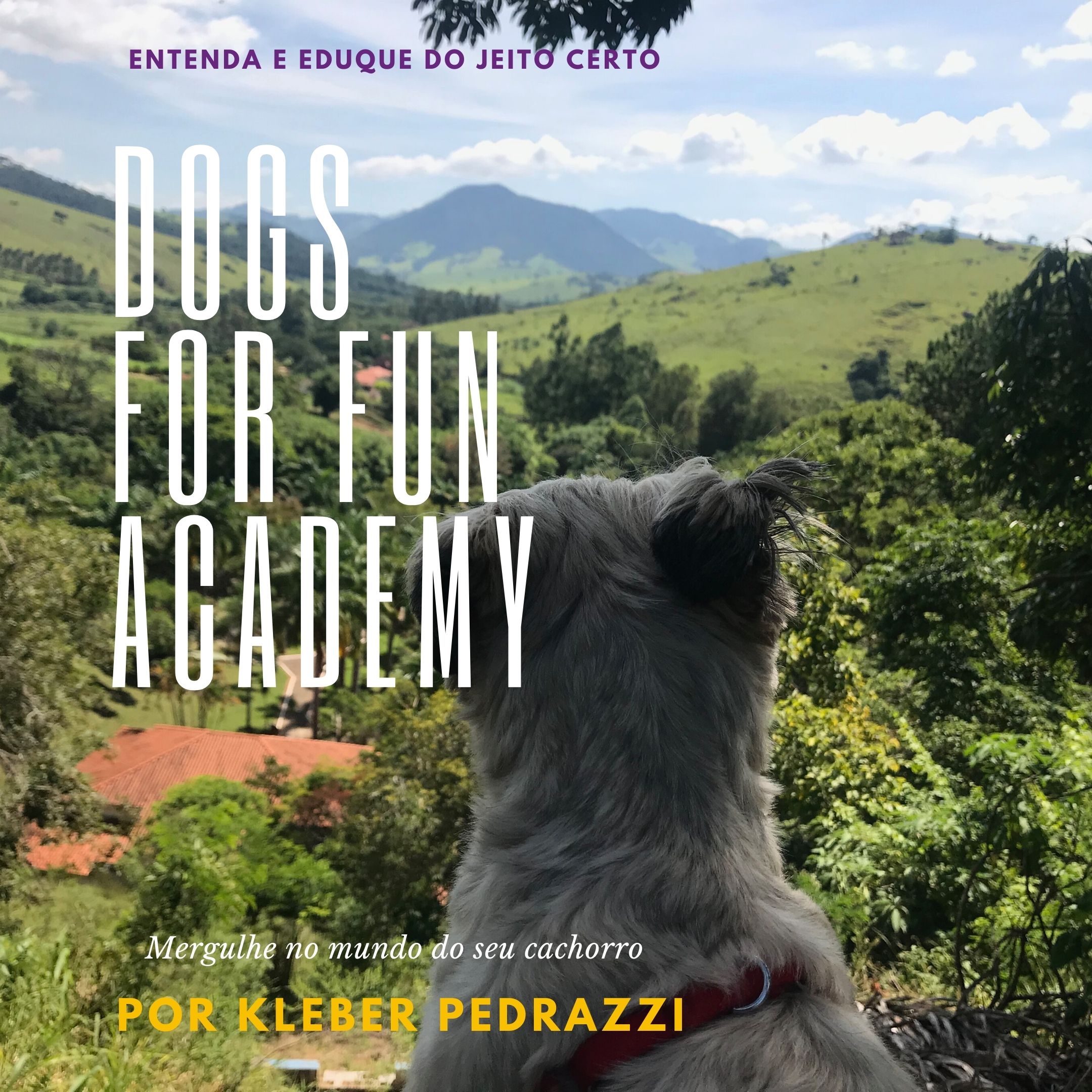 Mergulhe no Mundo do Seu Cachorro