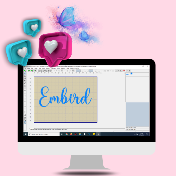 Acelerador de Embird