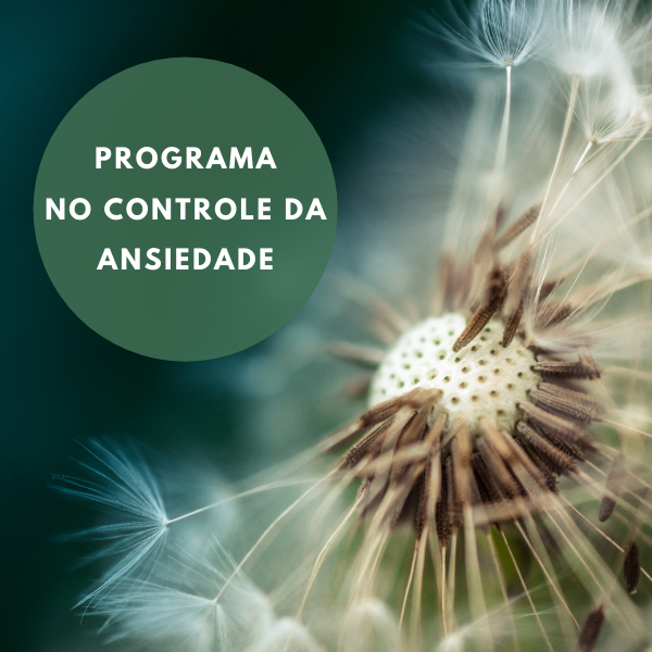 PROGRAMA NO CONTROLE DA ANSIEDADE