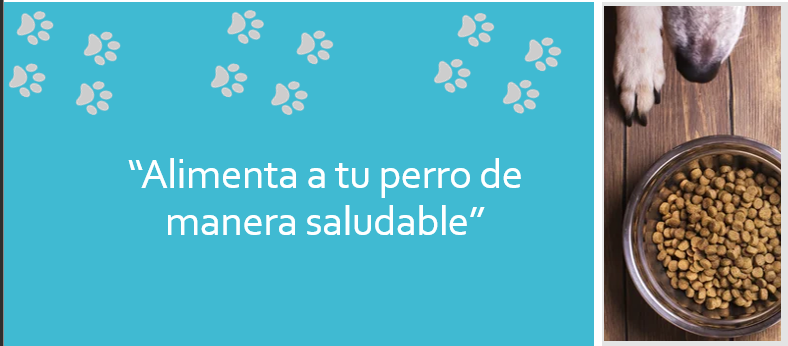 Alimenta a tu perro de manera saludable - Alma Leticia Valdovino Do...