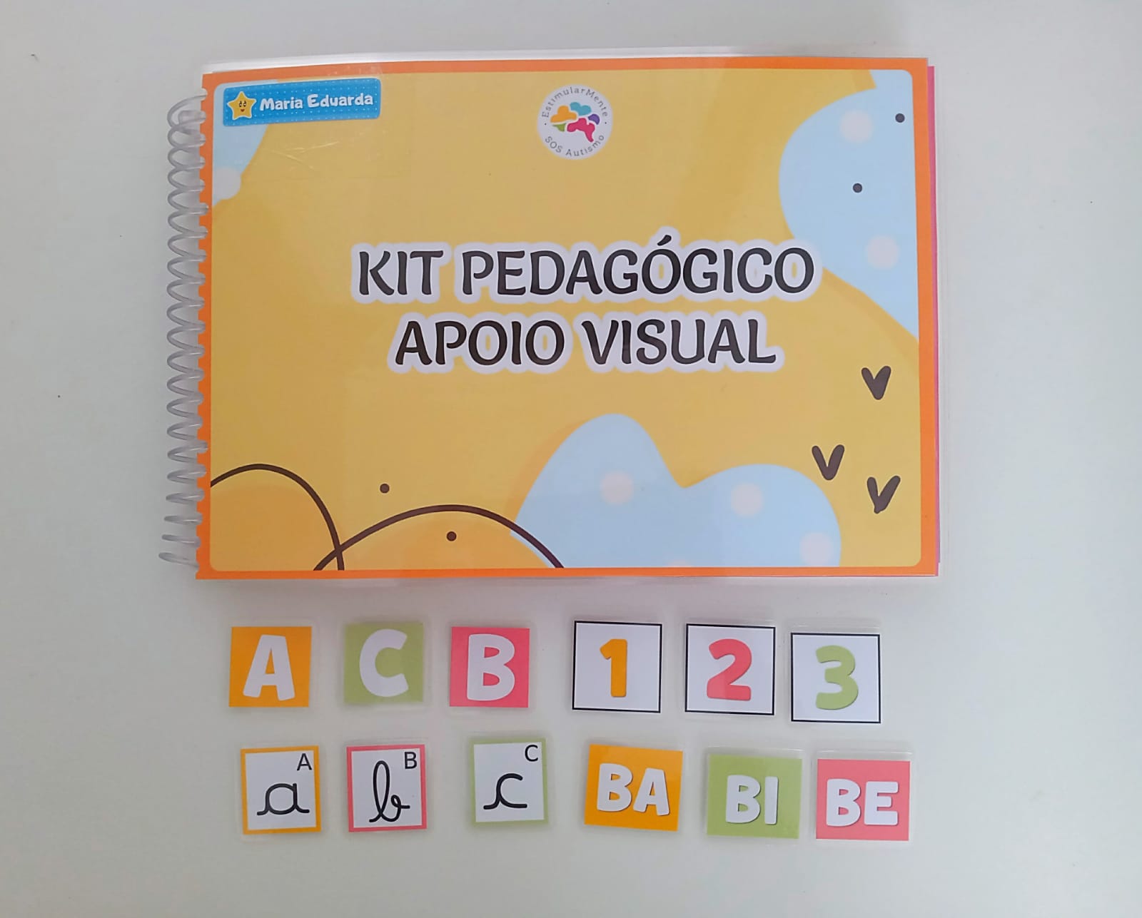 KIT PEDAGÓGICO APOIO VISUAL - EstimularMente - Wanessa Santos | Hot...