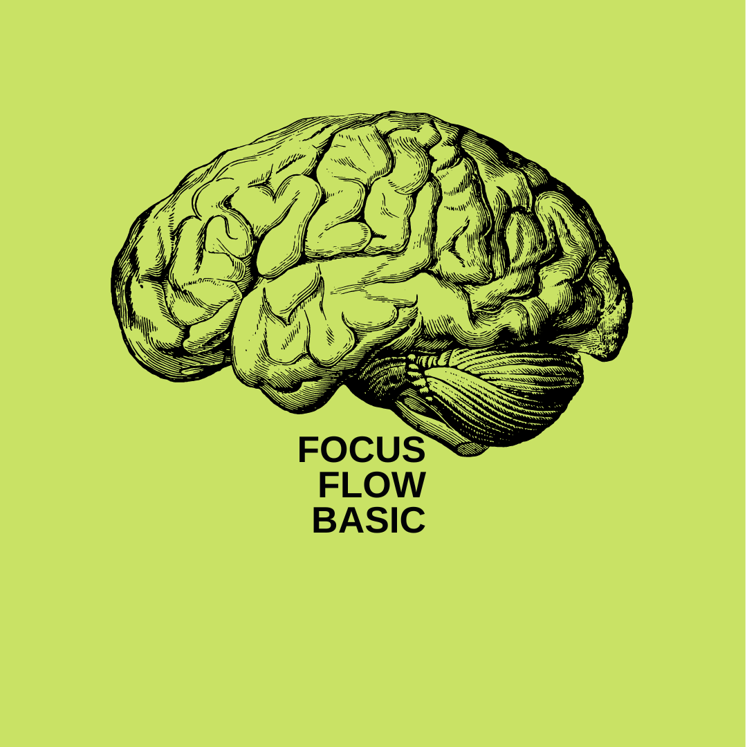 Programa Focus Flow, Plan Basic - Tania Pascal Pineda Lopetegui | H...