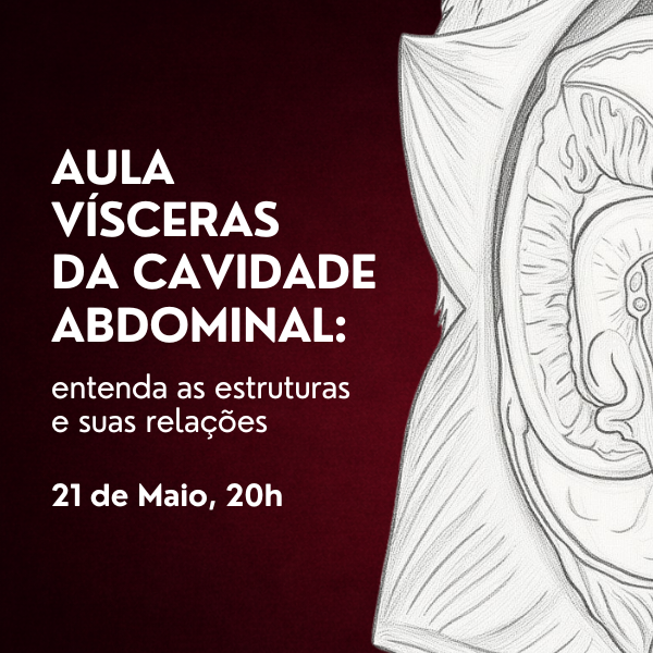 Vísceras da cavidade abdominal: entenda as estruturas e suas relaçõ...