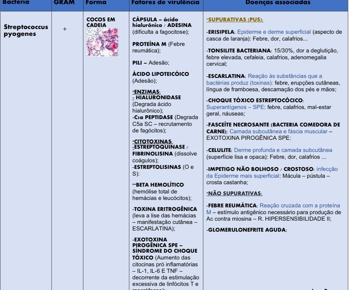 TABELA MICROBIOLOGIA - BACTÉRIAS - João Victor Paro | Hotmart