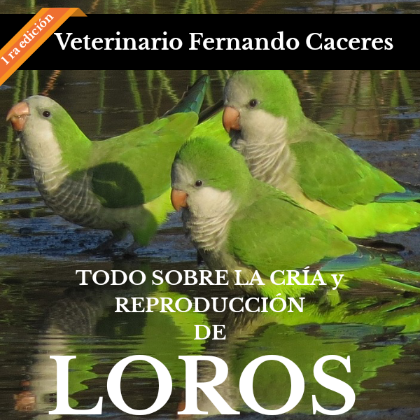 Todo sobre la cría y reproducción de loros